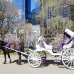 Private NYC Central Park Horse Carriage Ride (Guided) Since 1965 - The Itinerary: An In-Depth Look
