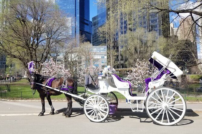 Private NYC Central Park Horse Carriage Ride (Guided) Since 1965 - The Itinerary: An In-Depth Look