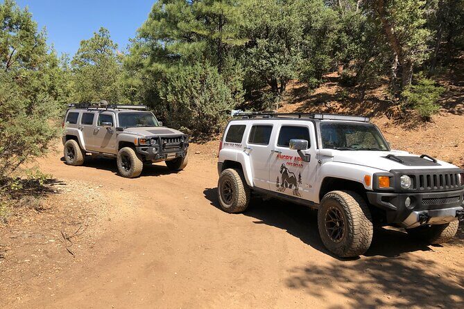 Private Off Road Adventure Tours in the Prescott National Forest - Deep Dive into the Itinerary