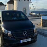 Private One-Way Transfer in Mykonos - Who Is This Service Best For?