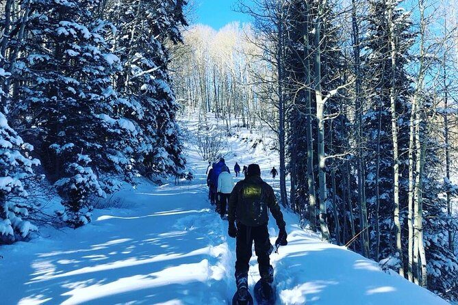 Private Park City Snowshoe Excursions (9:30am/12:30pm start time) - The Sum Up