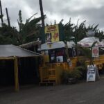 Private Pearl Harbor & North Shore tour (Se habla Español) - Detailed Breakdown of the Itinerary