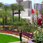 Private Phoenix and Scottsdale Half-Day City Tour - The Experience: What to Expect