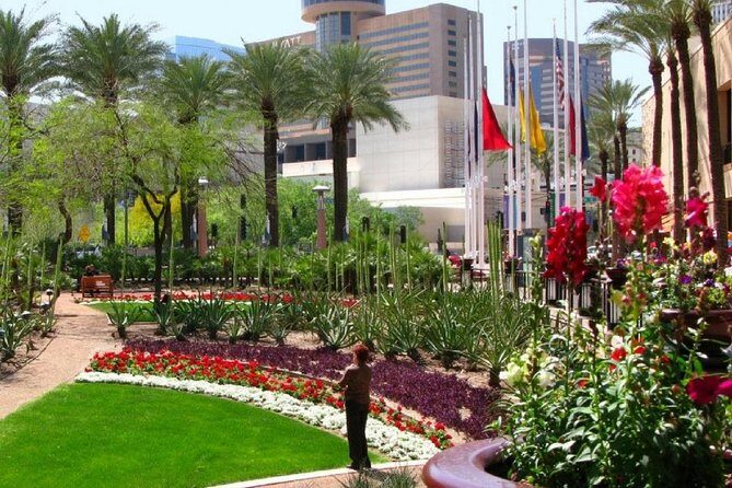 Private Phoenix and Scottsdale Half-Day City Tour - The Experience: What to Expect
