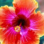 Private Picnic Activity in The Ulua Lagoon in Oahu - Final Thoughts