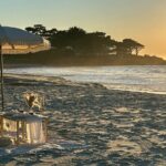Private Picnic in Carmel-by-the-Sea - Value and Price Analysis