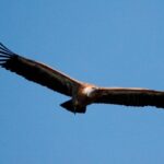 Private Plavnik Island Half-Day boat trip with capt. Bobo - Final Thoughts