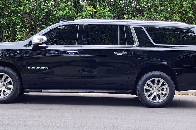 Private Port Canaveral Transfer to and from Orlando Intl Airport - Why Choose This Transfer?
