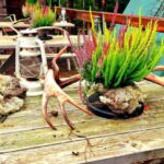 PRIVATE Reindeer Park Adventure by VIP Car - The Itinerary in Detail