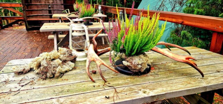 PRIVATE Reindeer Park Adventure by VIP Car - The Itinerary in Detail