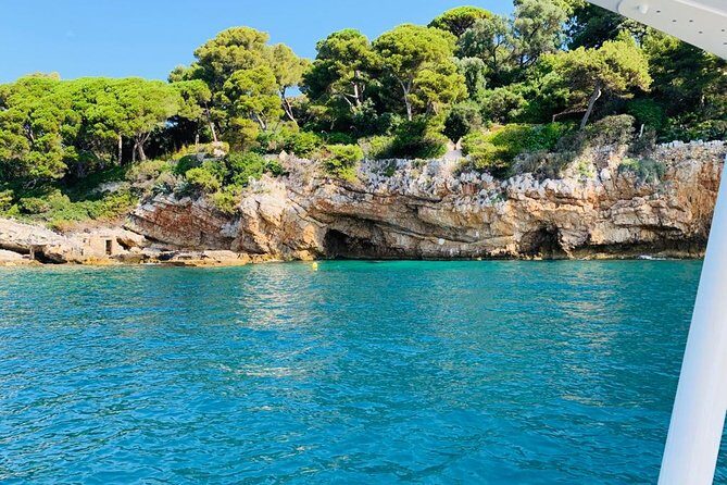 Private ride with sea bath in Solar Catamaran - What Travelers Say: Authentic Feedback