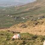 Private Ring of Kerry luxury tour with accredited guide - The Sum Up