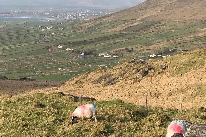Private Ring of Kerry luxury tour with accredited guide - The Sum Up
