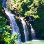 Private Road to Hana Tour - Who Should Book This Tour?