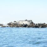 Private Sailing Tour of Bodega Bay - Who Should Consider This Tour?