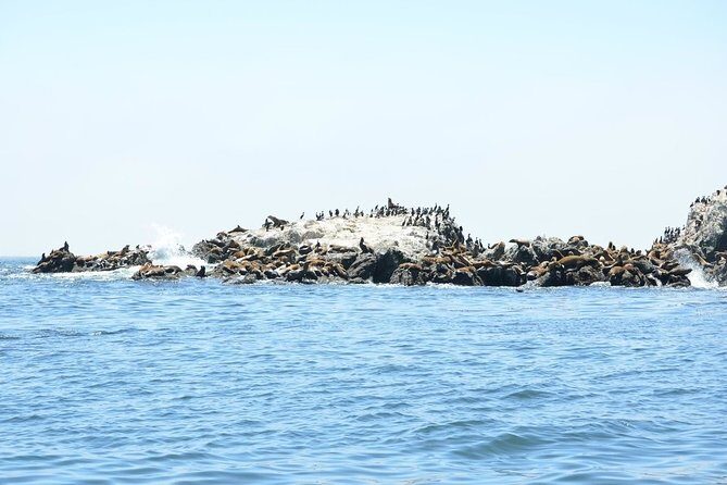 Private Sailing Tour of Bodega Bay - Who Should Consider This Tour?
