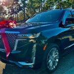 Private Sanford Florida Luxury Car Rides Transportation - What to Expect During Your Ride