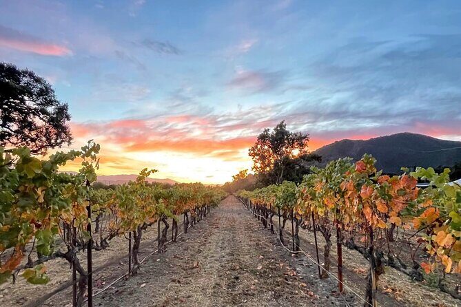 Private Santa Barbara Wine Country Vineyards & Villages Tour - The Value of a Private, Tailored Experience