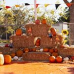 Private Santa Clara Halloween Family Fun Tour - Who Will Enjoy This Tour?