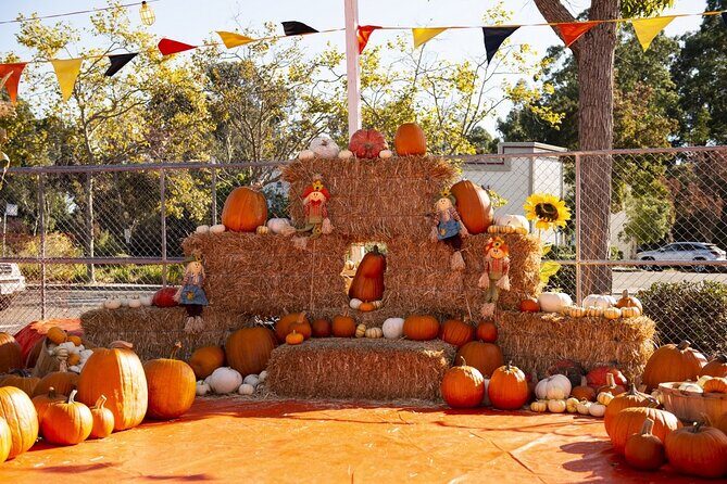 Private Santa Clara Halloween Family Fun Tour - Who Will Enjoy This Tour?