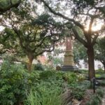 Private Savannah Medical History Walking Tour - Why Choose This Tour? Who Will Love It?