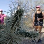 Private Scottsdale Day Hiking Tour - Logistics & Practical Tips