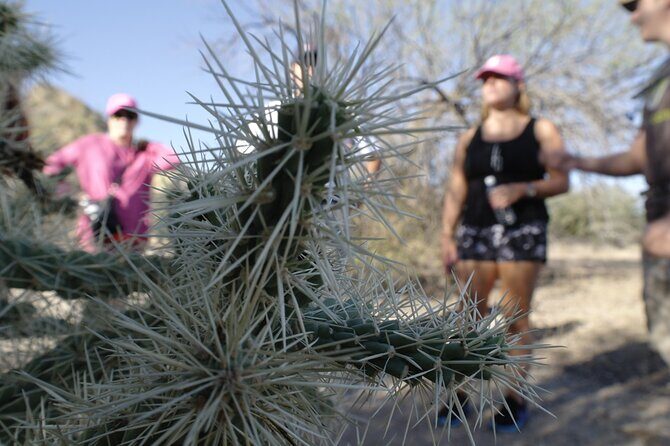 Private Scottsdale Day Hiking Tour - Logistics & Practical Tips
