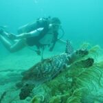 Private Scuba Diving Expert-Led Excursion Training with Tour - An In-Depth Look at This Unique Scuba Experience