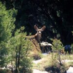 PRIVATE Sedona Jeep Tour Diamondback Gulch Extreme Off-Road - The Itinerary: What to Expect