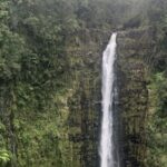 PRIVATE Shore Excursion - 'Best of Hilo and Hamakua coast - Final Thoughts: Is This Tour Right for You?