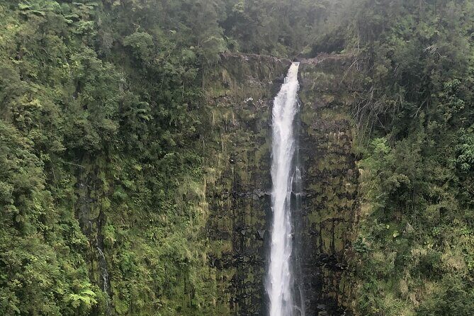 PRIVATE Shore Excursion - 'Best of Hilo and Hamakua coast - Final Thoughts: Is This Tour Right for You?