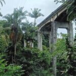 Private Shore Excursion Hilo Land of Frozen Fire up to 14 - Exploring the Natural Wonders