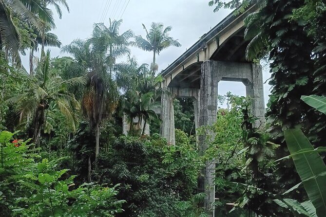 Private Shore Excursion Hilo Land of Frozen Fire up to 14 - Exploring the Natural Wonders