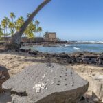 Private Shore Excursion Kona Coffee & National Historic Park - Key Points