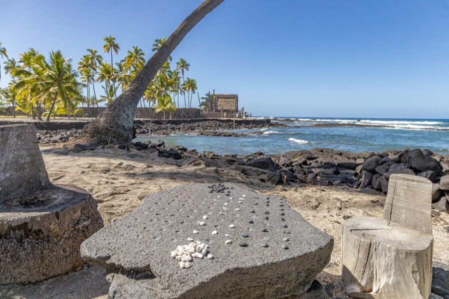 Private Shore Excursion Kona Coffee & National Historic Park - Key Points