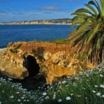 Private Shuttled Coastal Gems Scenic Customizable Tour - The Transport and Personal Touch