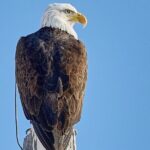 Private Snake River Scenic Float with Teton Views - Who Will Love This Tour?