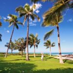 Private Snorkel Trip from Oahu on a Yacht - The Real Value: What Sets This Tour Apart?