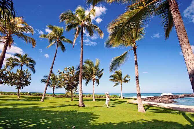Private Snorkel Trip from Oahu on a Yacht - The Real Value: What Sets This Tour Apart?