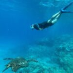 Private Snorkel with Beach Set-Up - Who Will Love This Tour?