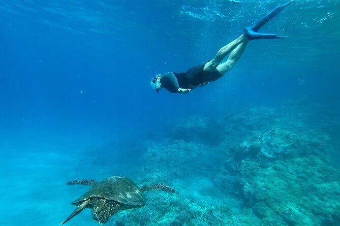 Private Snorkel with Beach Set-Up - Who Will Love This Tour?