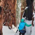 Private Snowshoe Adventure - Sequoia National Park - The Itinerary in Detail