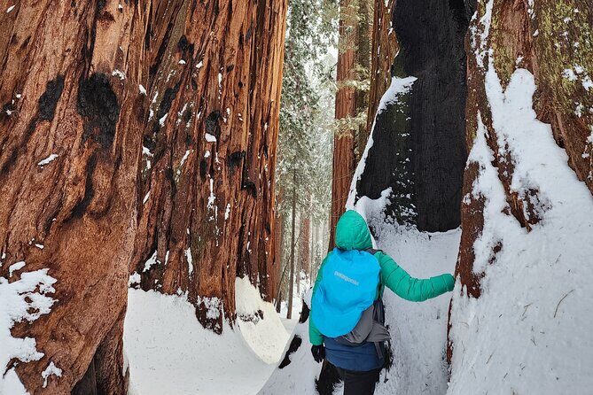 Private Snowshoe Adventure - Sequoia National Park - The Itinerary in Detail