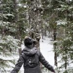 Private Snowshoeing Adventure from Badger Pass to Dewey Point - Analyzing the Itinerary: From Badger Pass to Dewey Point