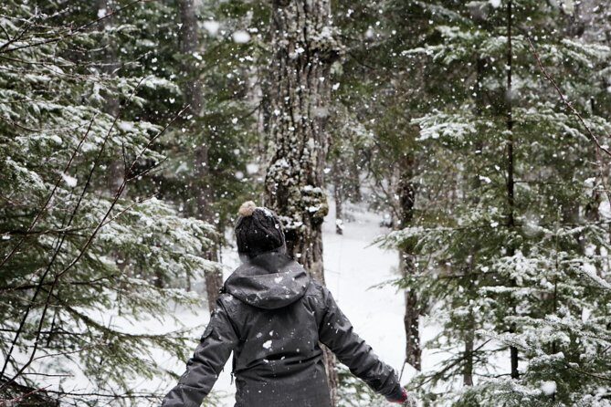 Private Snowshoeing Adventure from Badger Pass to Dewey Point - Analyzing the Itinerary: From Badger Pass to Dewey Point