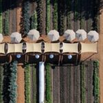 Private Sonoma Wine Tour up to 6 Guests - Who Should Consider This Tour?