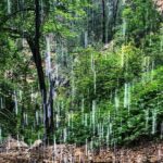 Private Spearfish Canyon Hike - Who Will Love This Tour?