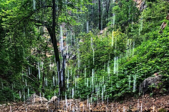 Private Spearfish Canyon Hike - Who Will Love This Tour?