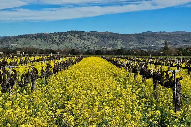 Private Sprinter Tour of Napa Valley - Who Will Love This Tour?