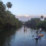 Private Stand up Paddle Lesson and Tour (for 1 or more paddlers) - The Itinerary and What to Expect